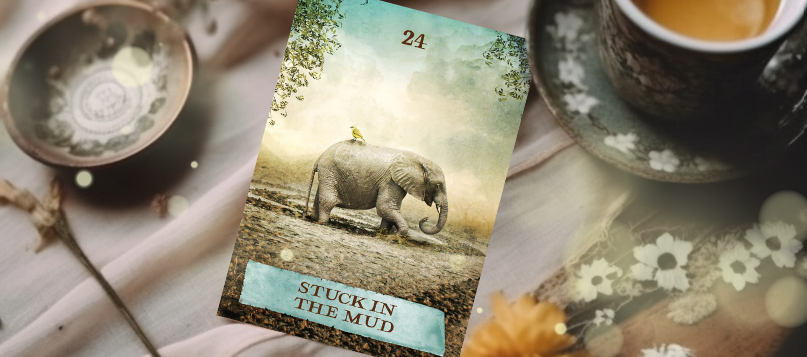 Feeling Stuck? How to Get Unstuck and Move Forward - Colette Baron-Reid ...